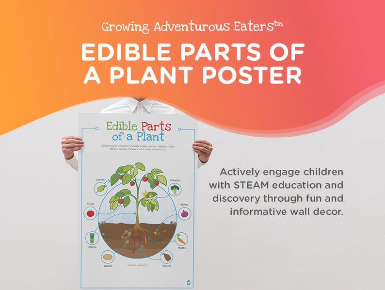 Printable Edible Parts of a Plant Poster, Horticulture, School Art ...