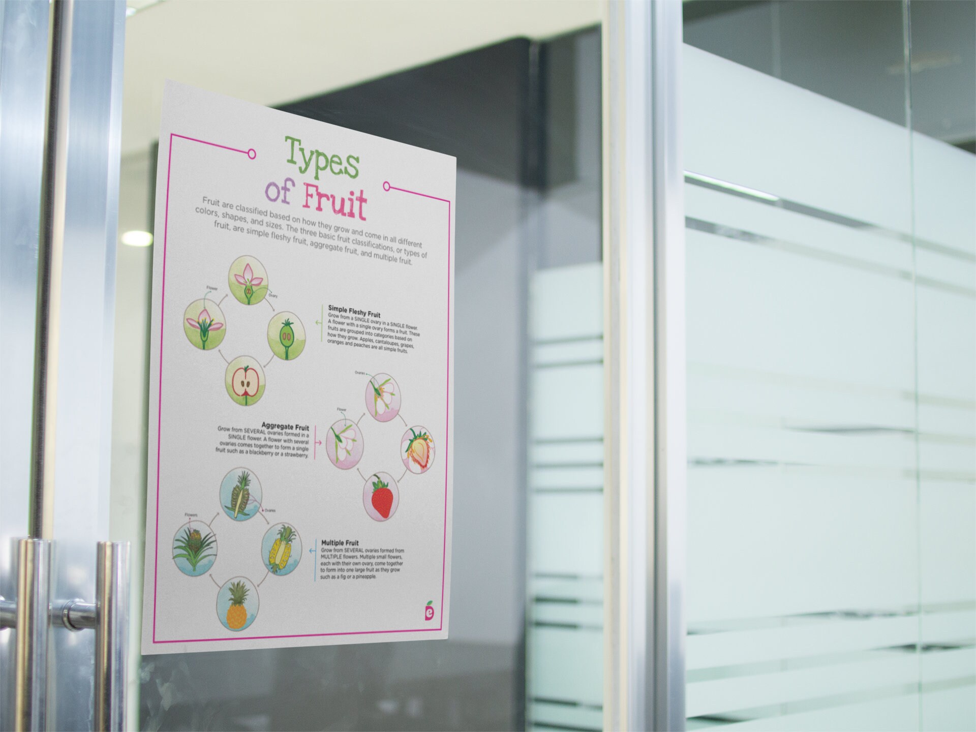 Printable Types of Fruit Poster, Horticulture, School Art Education ...