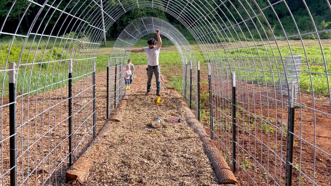 Walk-through Trellis Build Plans - Etsy