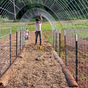 Walk-through Trellis Build Plans - Etsy
