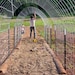 Walk-through Trellis Build Plans - Etsy