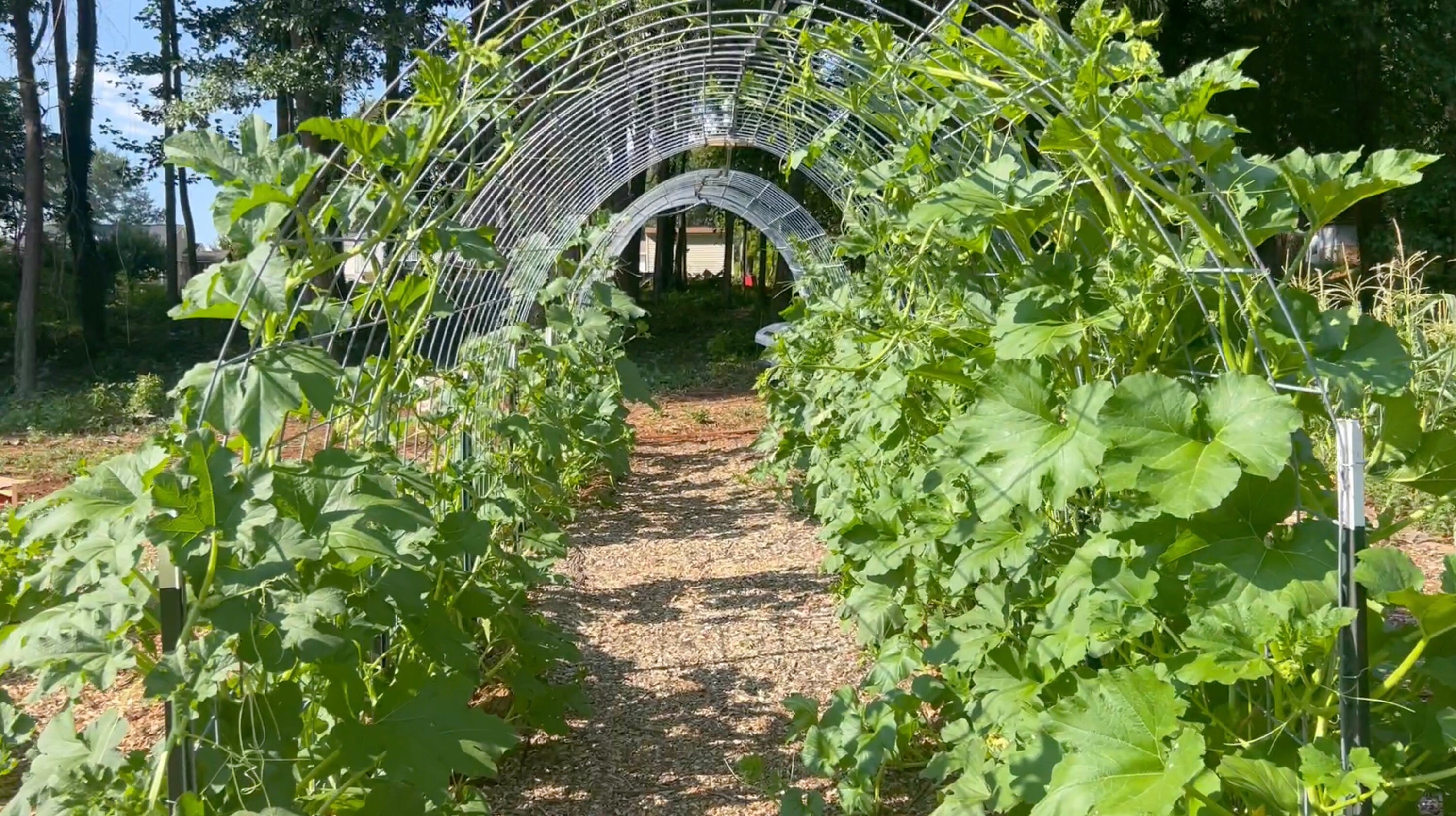 Walk-through Trellis Build Plans - Etsy