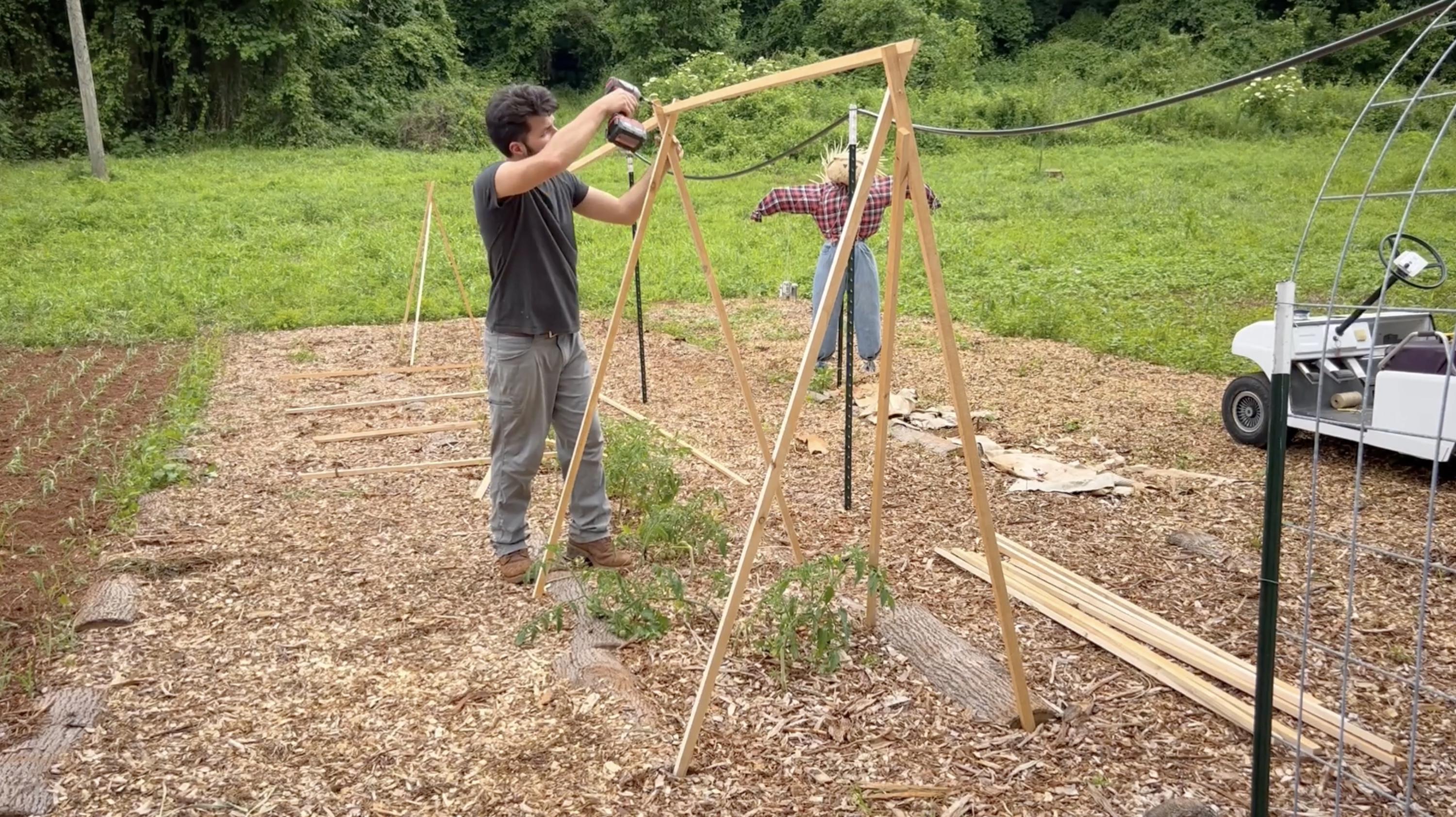 String Trellis Build Plans - Etsy