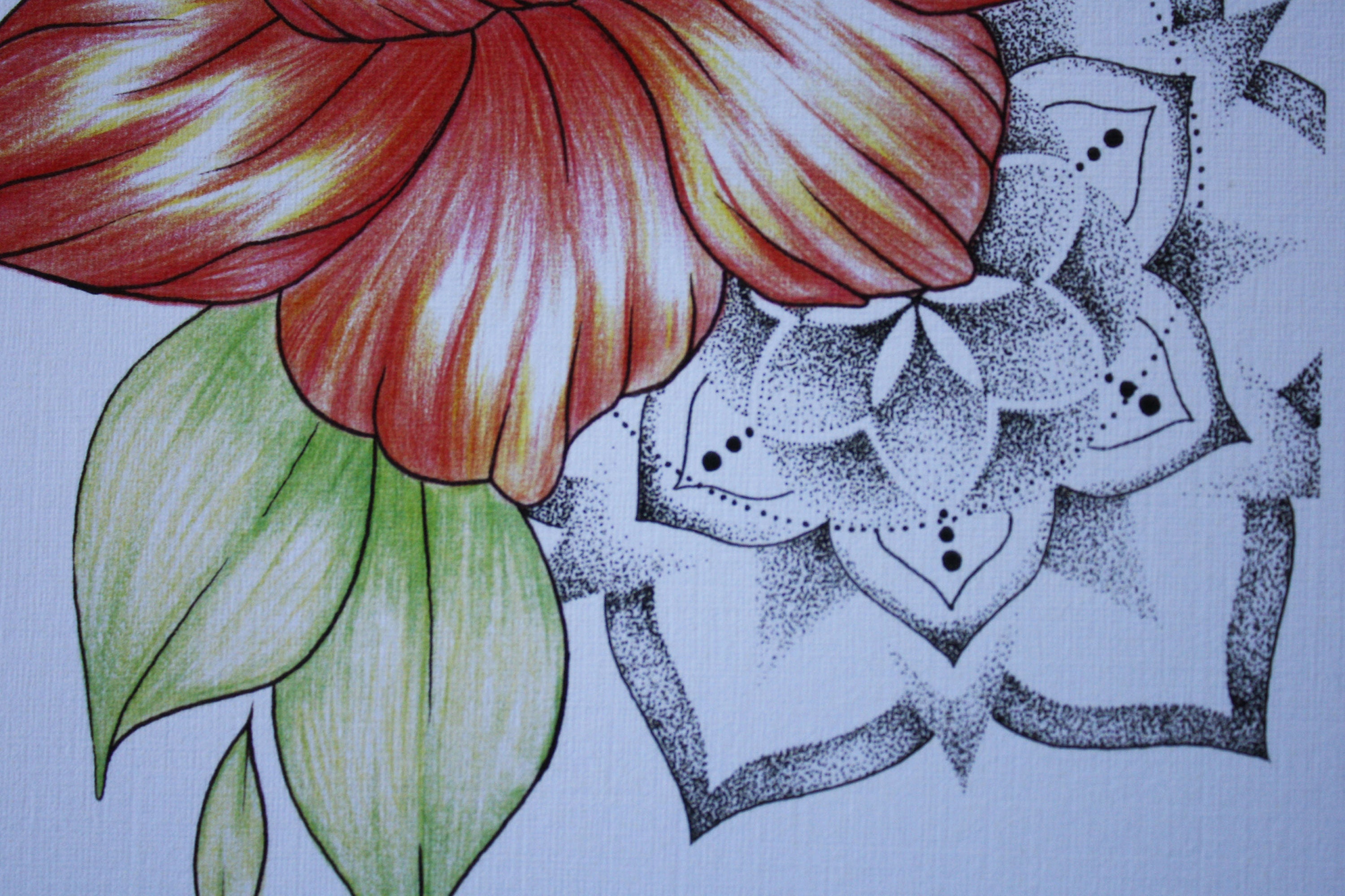 Estampado de flor de rubí sagrado, flor de mandala, dotwork art - Etsy ...