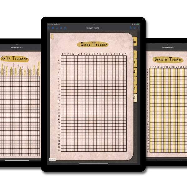 Recovery Journal - Etsy