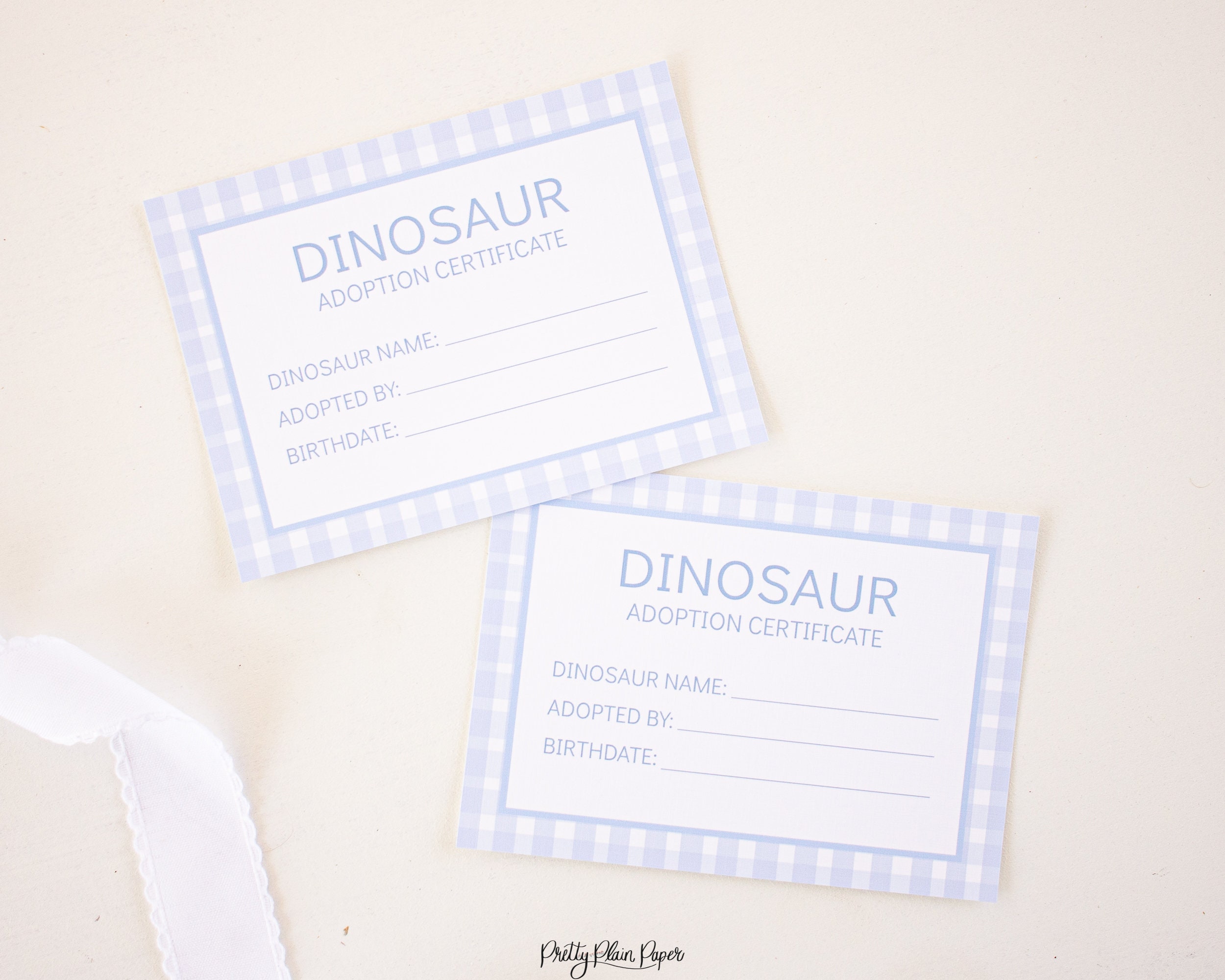Adopt a Dinosaur Certificate ...for the Boys! | Printable Download ...