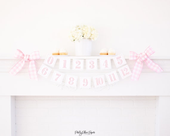 Watercolor Pink First Year Monthly Photo Banner Printable | Etsy