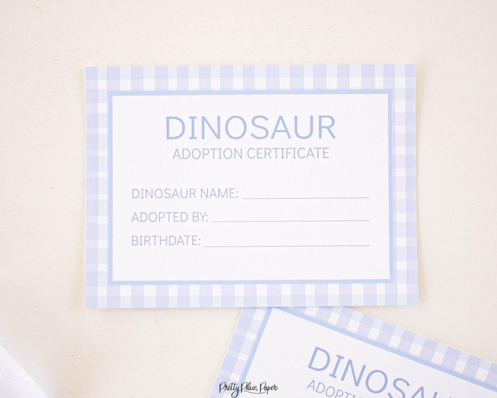 Adopt a Dinosaur Certificate ...for the Boys! | Printable Download ...
