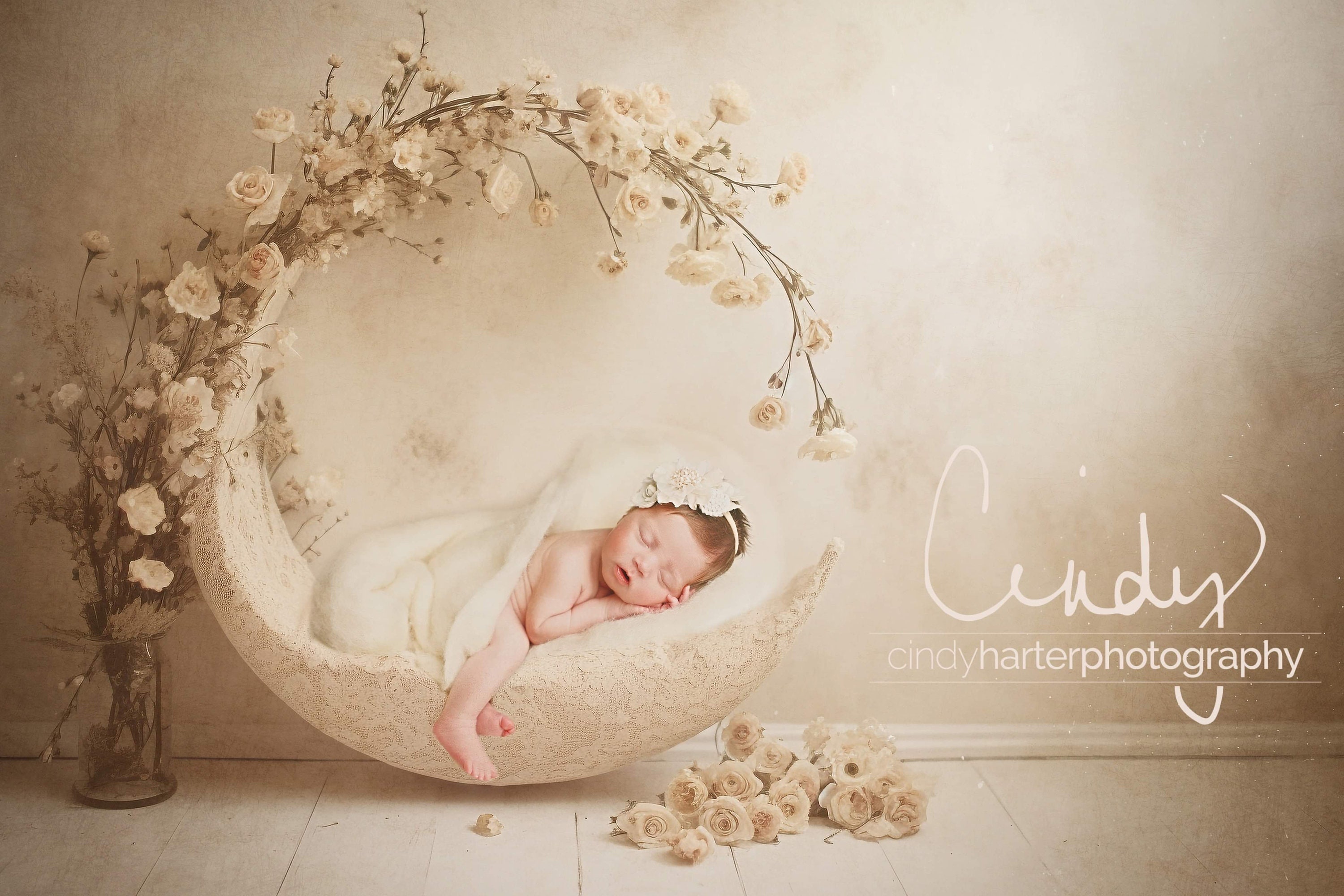 Newborn, Digital Backdrop, Digital Background, Baby, Girl, Boy, Boho ...