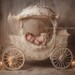 Newborn, Digital Backdrop, Digital Background, Baby, Girl, Carriage ...