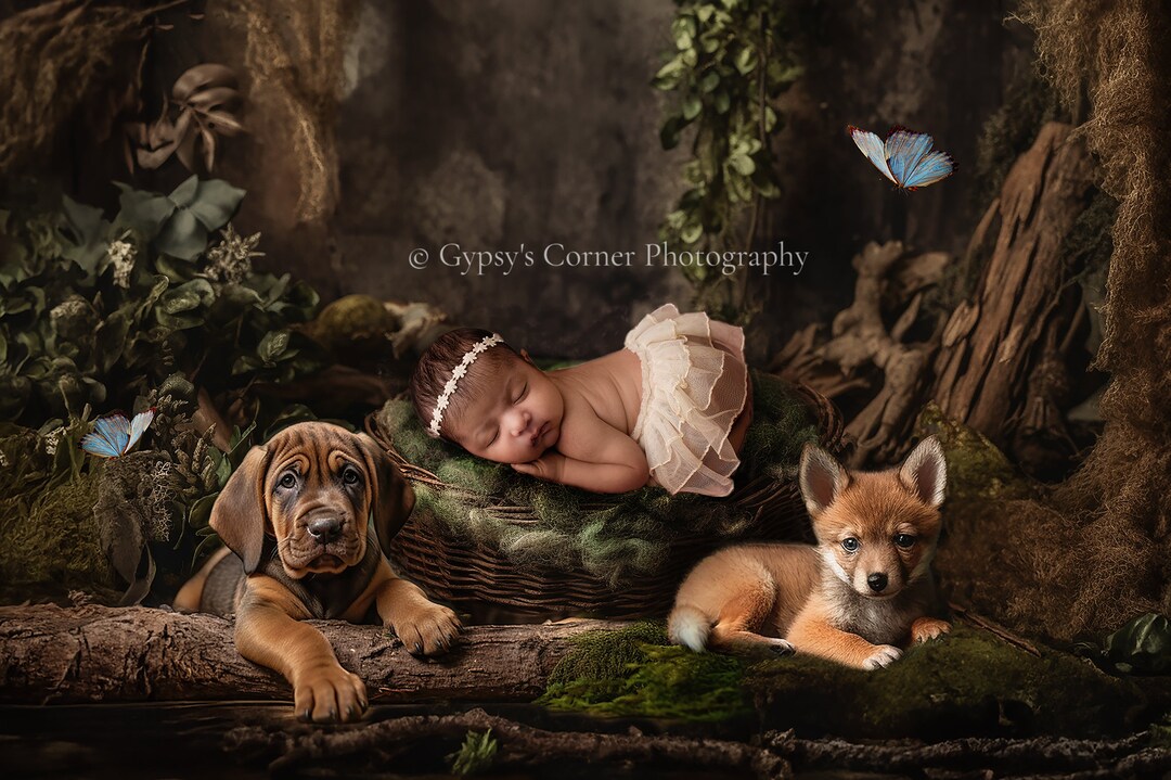 The Fox and the Hound Inspired Newborn Digital Backdrop for a Baby Boy ...