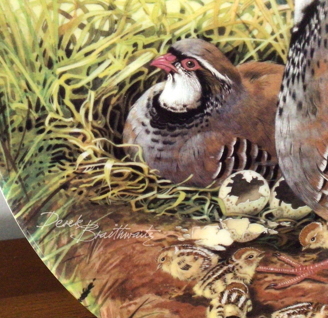 Red-legged Partridge by Artist Derek Braithwaite; Fine Bone China by ...