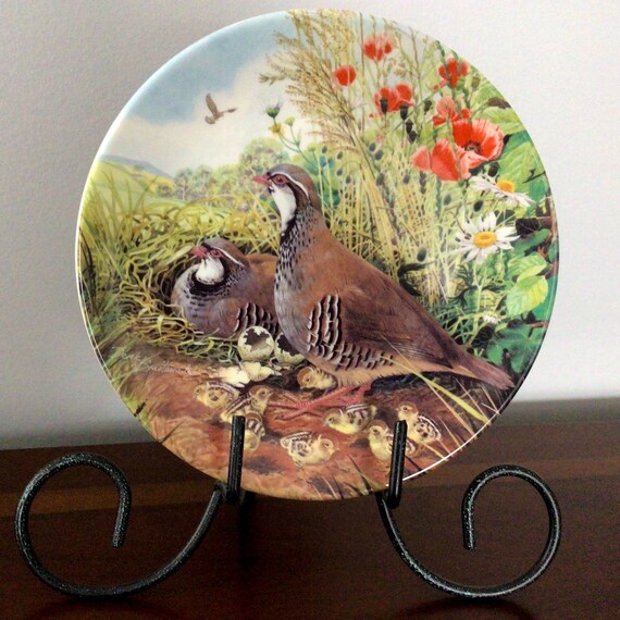 Red-legged Partridge by Artist Derek Braithwaite Fine Bone | Etsy