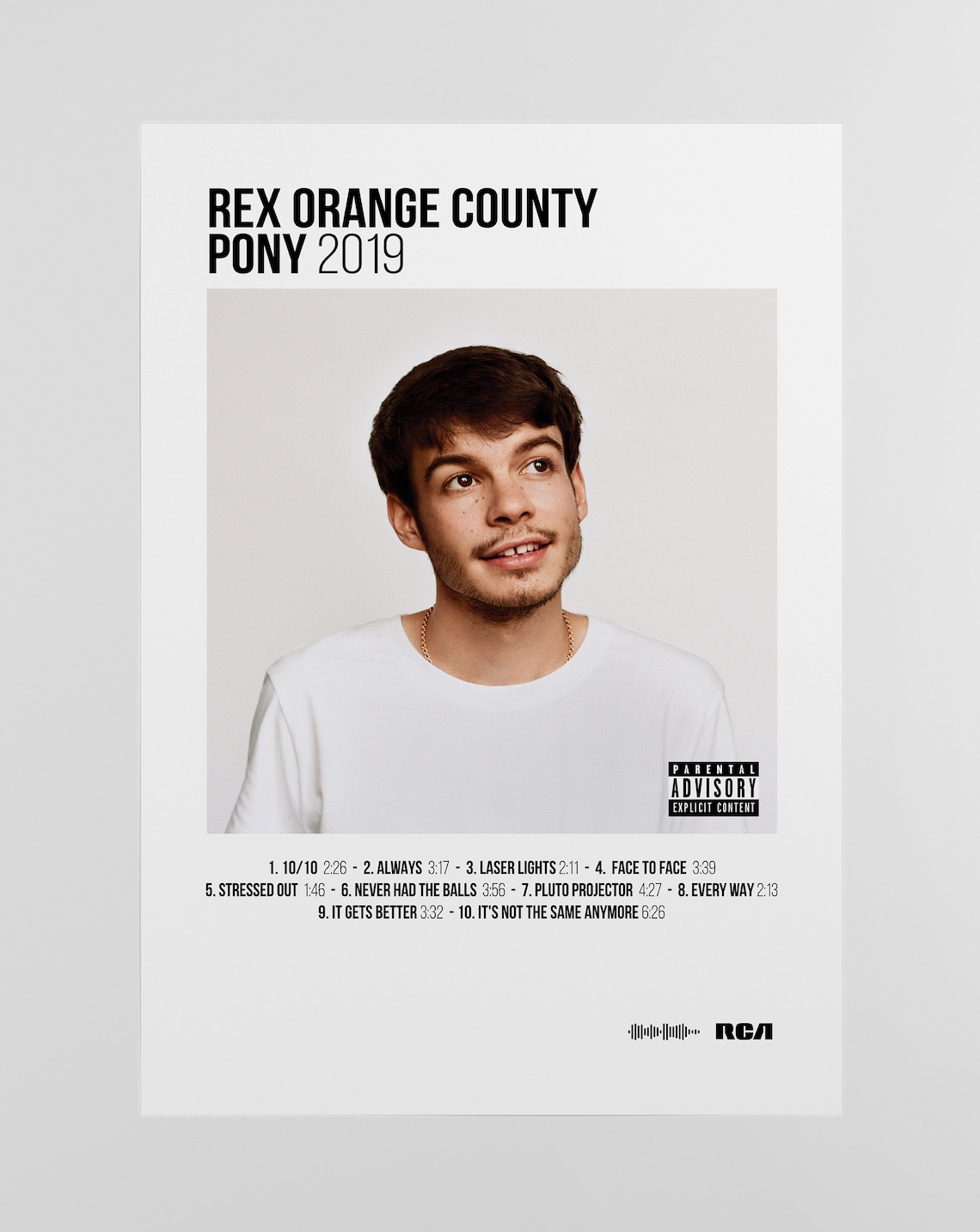 Pony Rex Orange County Album Poster Print Album Cover Poster | Etsy