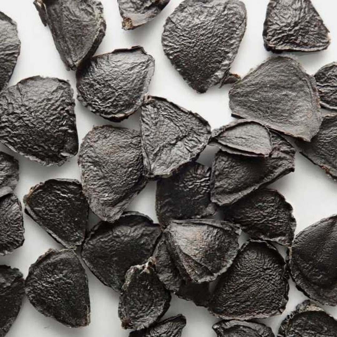 Agave Lechuguilla 'shin Dagger' - COLD HARDY - Seeds - Etsy