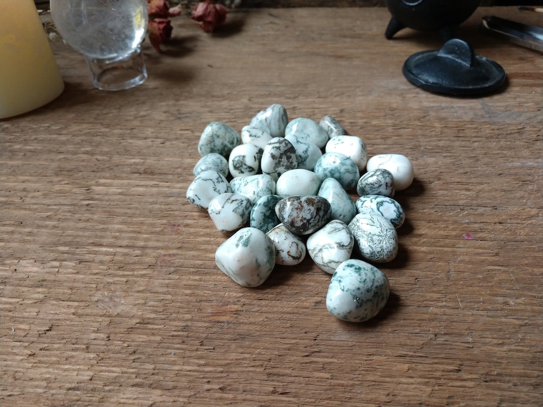 3 Tumbled Tree Agates, Tumbled Tree Agate Crystals, Dendridic Agate ...