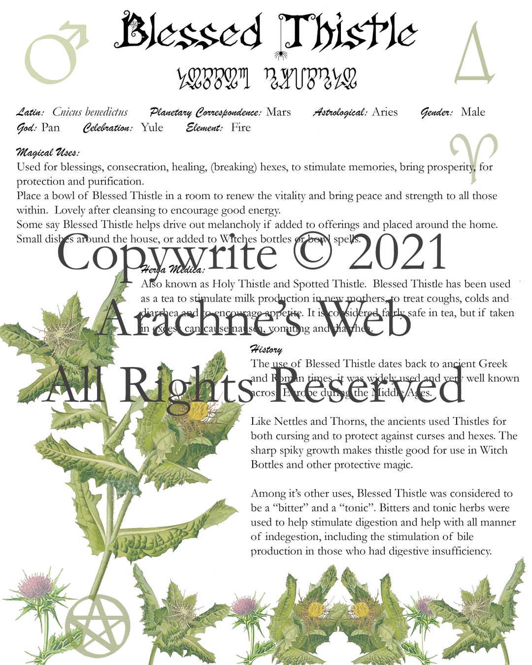 Blessed Thistle Book of Shadows Page, Grimoire Art Page, Witch's Herbal ...