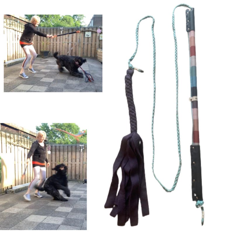 Flirt Pole Dog | Dog Fishing Rod | Dog Toys | Interactive Dog Toy | Dog ...