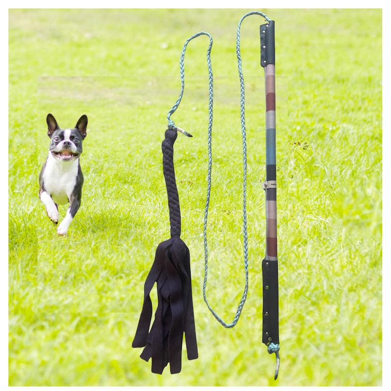 Flirt Pole Dog | Dog Fishing Rod | Dog Toys | Interactive Dog Toy | Dog ...