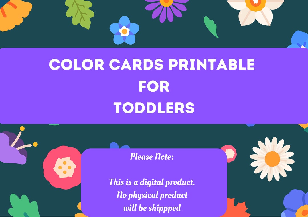 Color Cards for Toddlers - Etsy