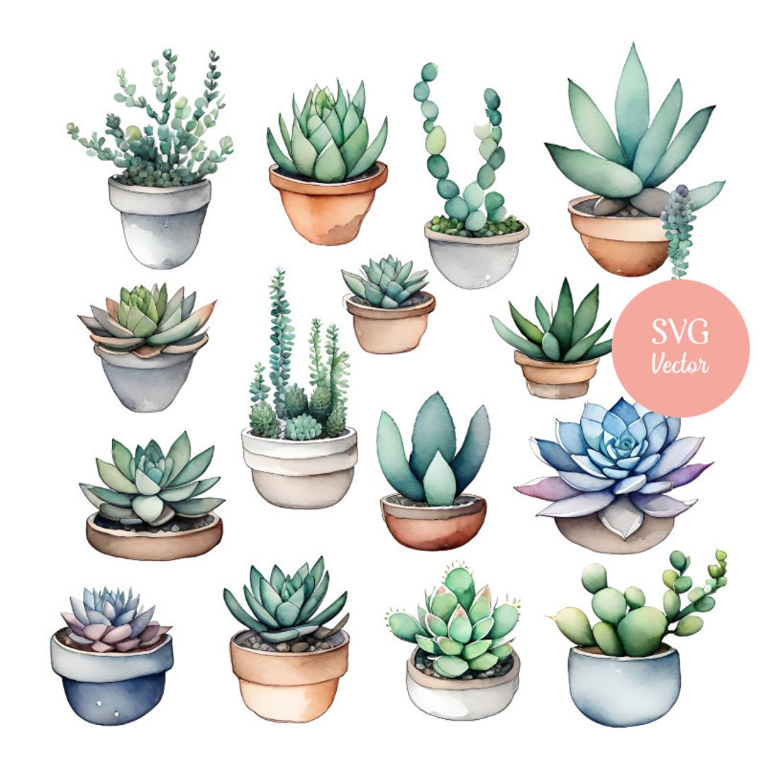 SVG Succulents Watercolor Illustrations Vector Set - Nature's Elegance ...