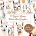 15 Adorable Llama Watercolor Digital Illustrations - Whimsical Charm in ...
