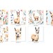 15 Adorable Llama Watercolor Digital Illustrations - Whimsical Charm in ...