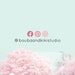 Transparent Cherry Blossom Mac Folder Icons Aesthetic Mac Folder Icons ...