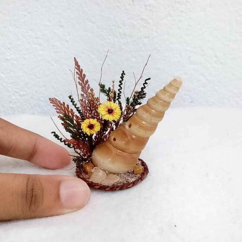 Shell Arrangements - Etsy