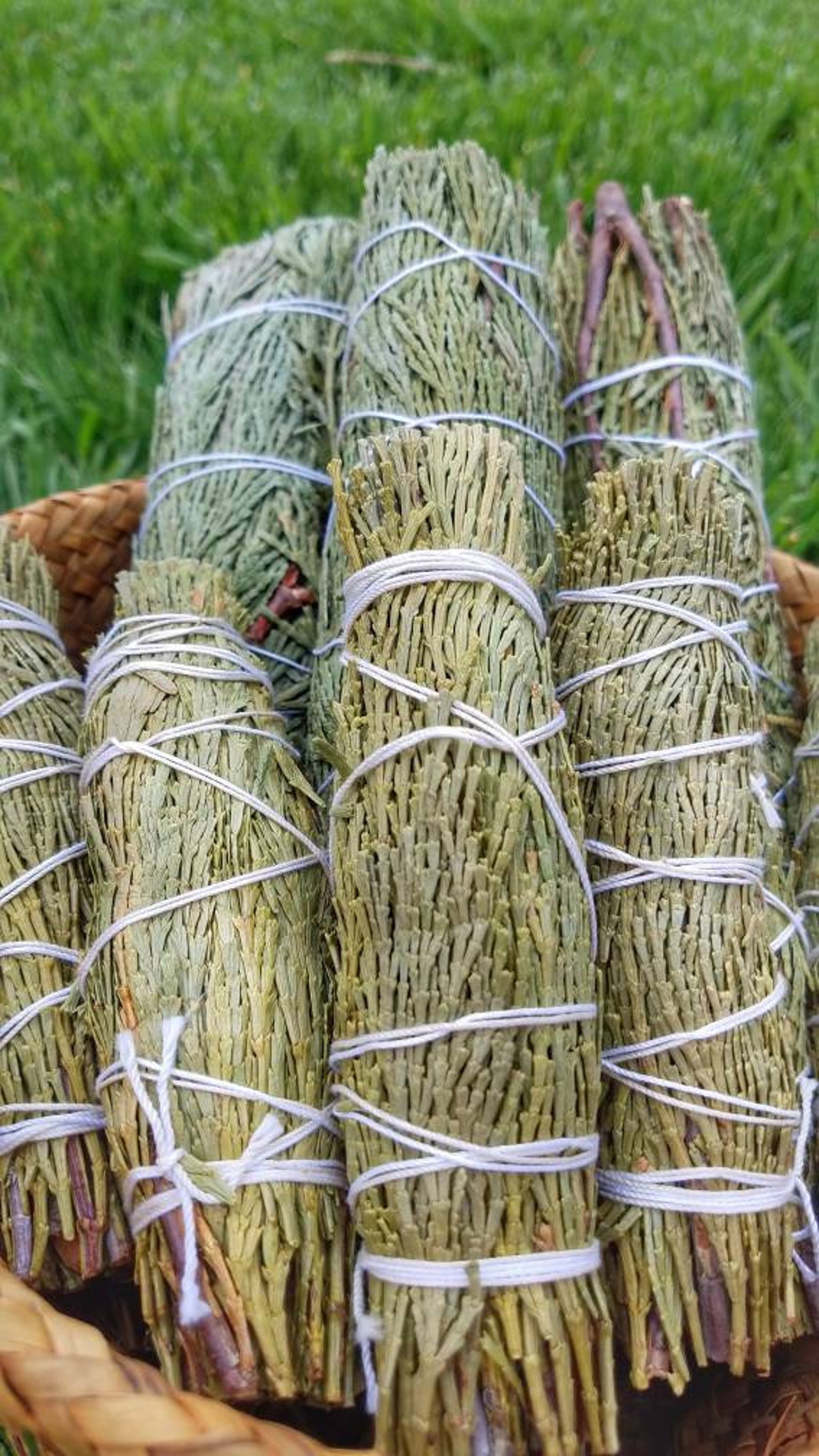 CEDAR Smudge Wand smoke Cleansing Ritual House Smudging Cleanse Sage ...