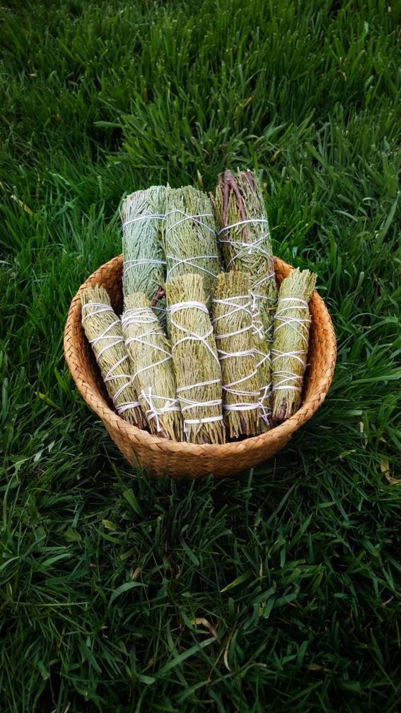 CEDAR Smudge Wand smoke Cleansing Ritual House Smudging Cleanse Sage ...