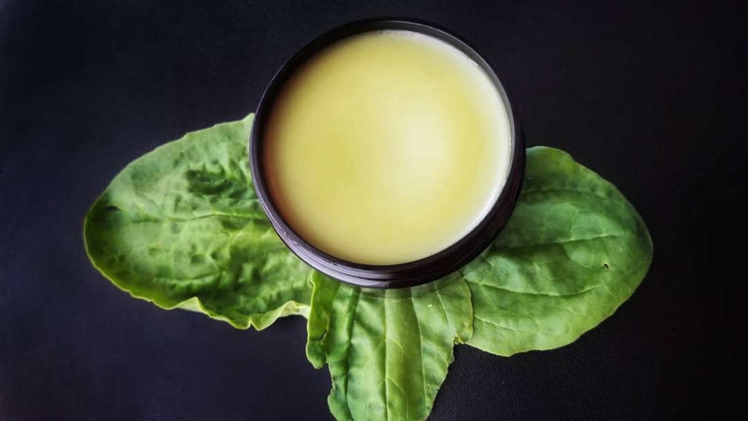 Simply Plantain Salve, Wildcrafted Organic Herbal Balm, Ethically ...