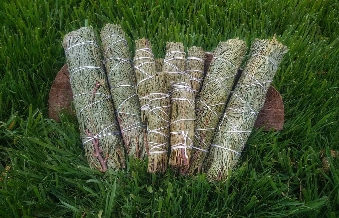CEDAR Smudge Wand smoke Cleansing Ritual House Smudging Cleanse Sage ...
