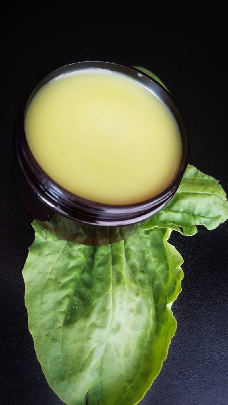 Simply Plantain Salve, Wildcrafted Organic Herbal Balm, Ethically ...