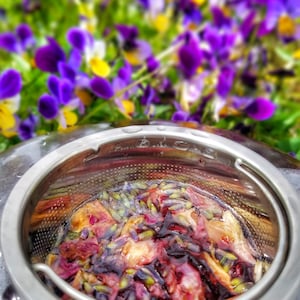 Dream Magic Tea: Organic Herbal Blends for Lucid Dreaming Astral ...