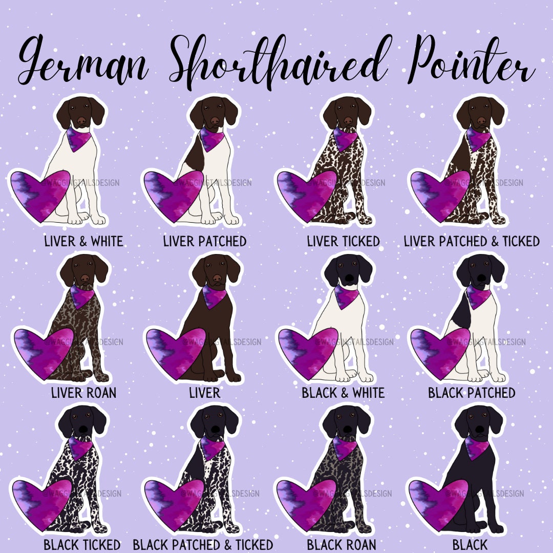 German Shorthaired Pointer Sticker // Available in 12 Colors, Sold ...