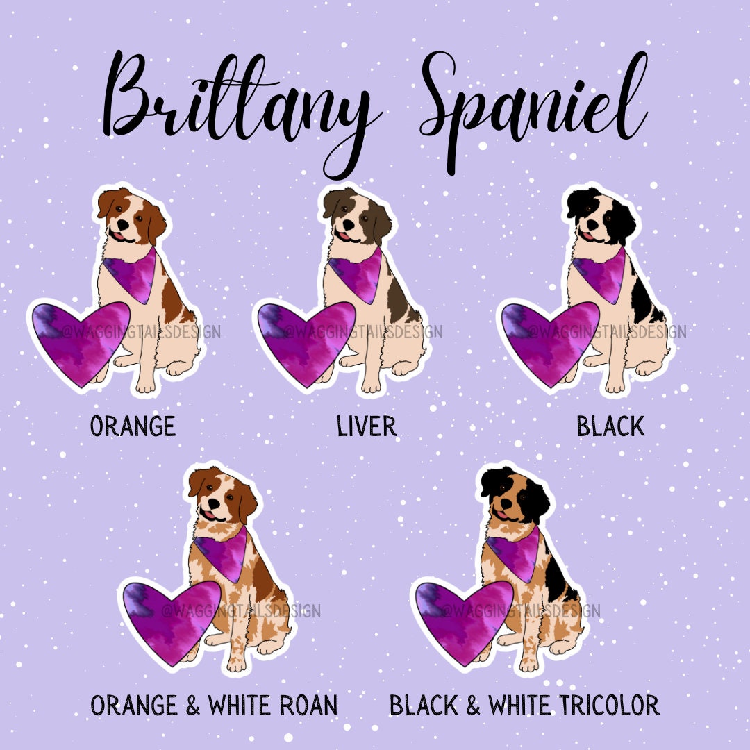Brittany Sticker // Now Available in 5 Color Options! - Etsy