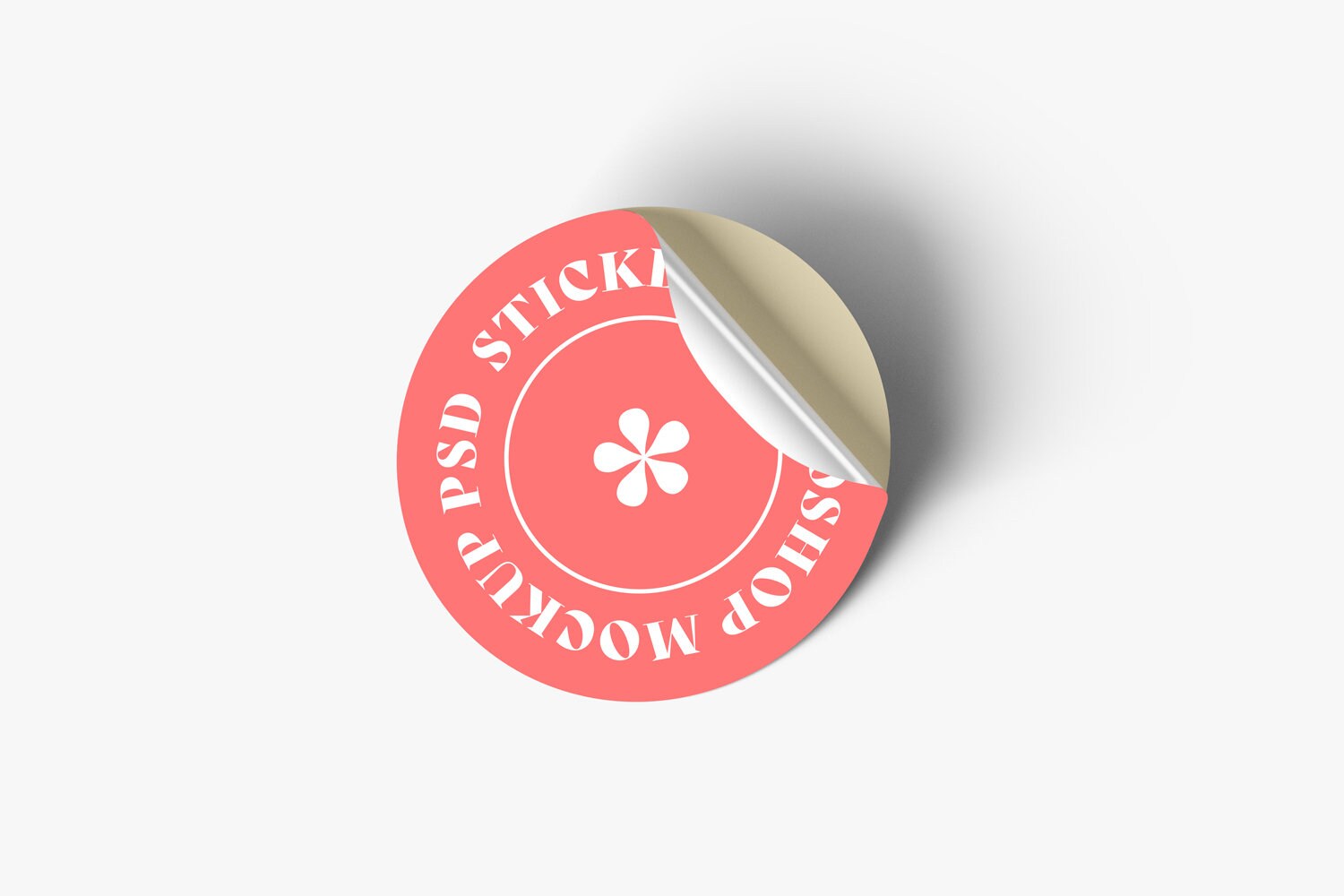 Round Sticker Mockups - Etsy