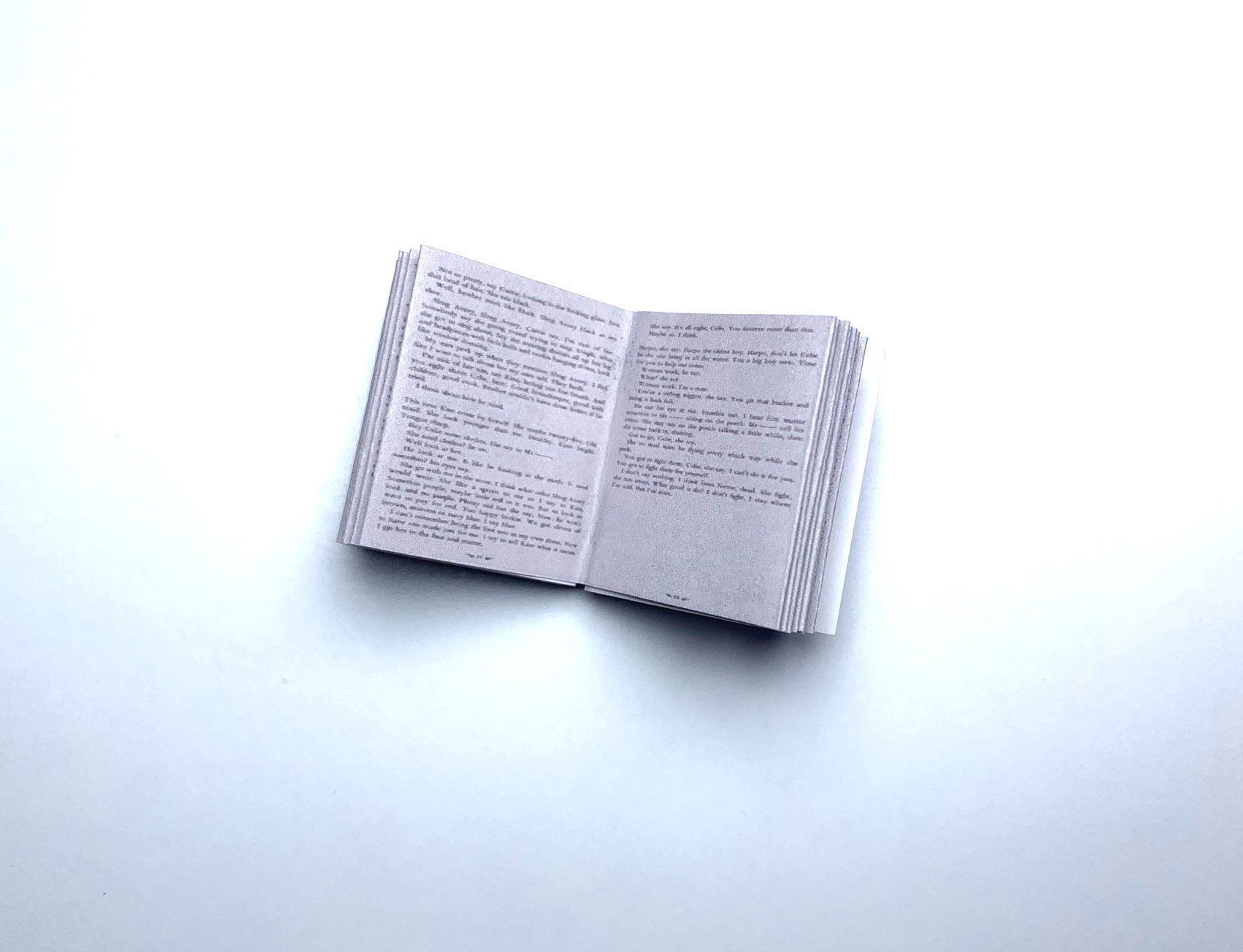 Miniature the Color Purple Book | Real Text & Pictures | 1/4, 1/6 or 1/ ...