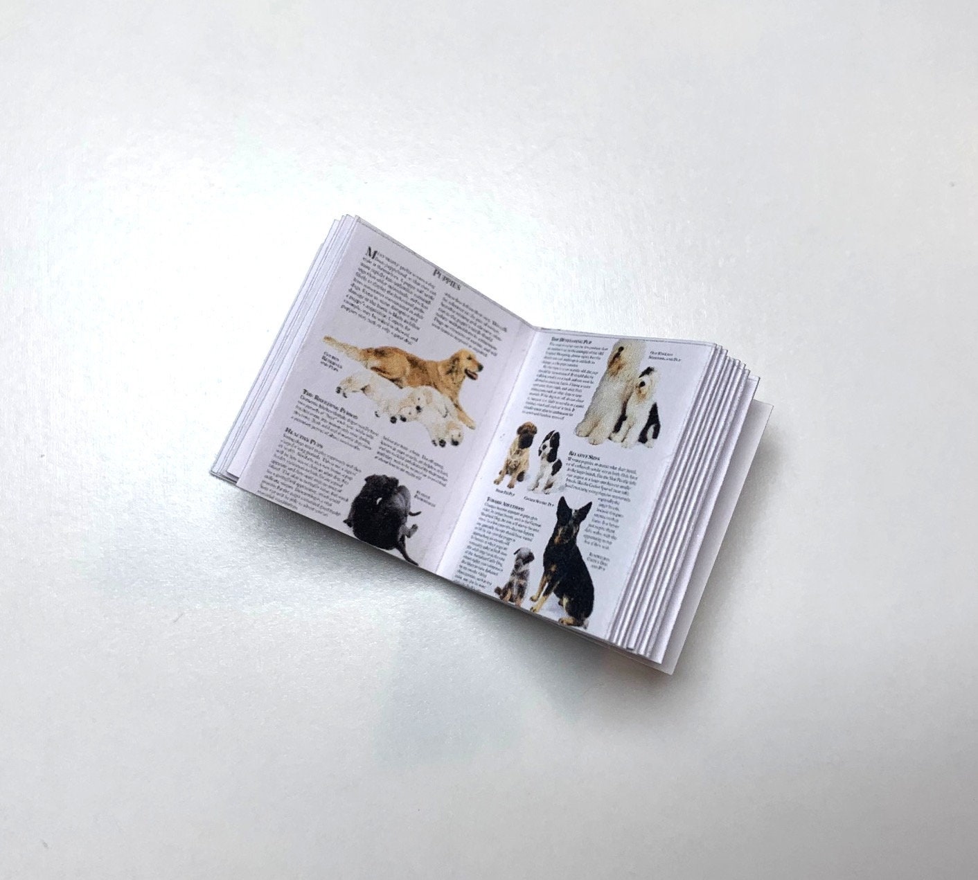 Miniature Books | Dog Book | Contains Real Text | 1/4, 1/6 or 1/12 ...