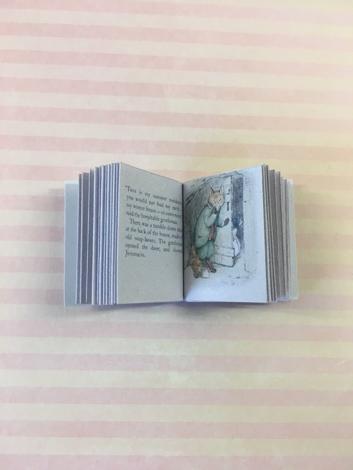 Beatrix Potter Miniature Book Set Jemima Puddle-Duck | Etsy