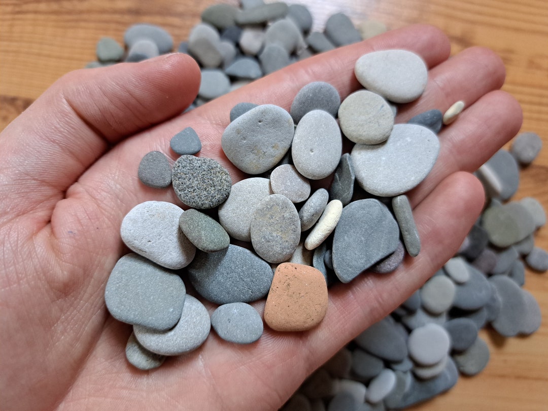 Kieselsteine Ostsee Flache Küstensteine Kleine Strandsteine Glatte ...