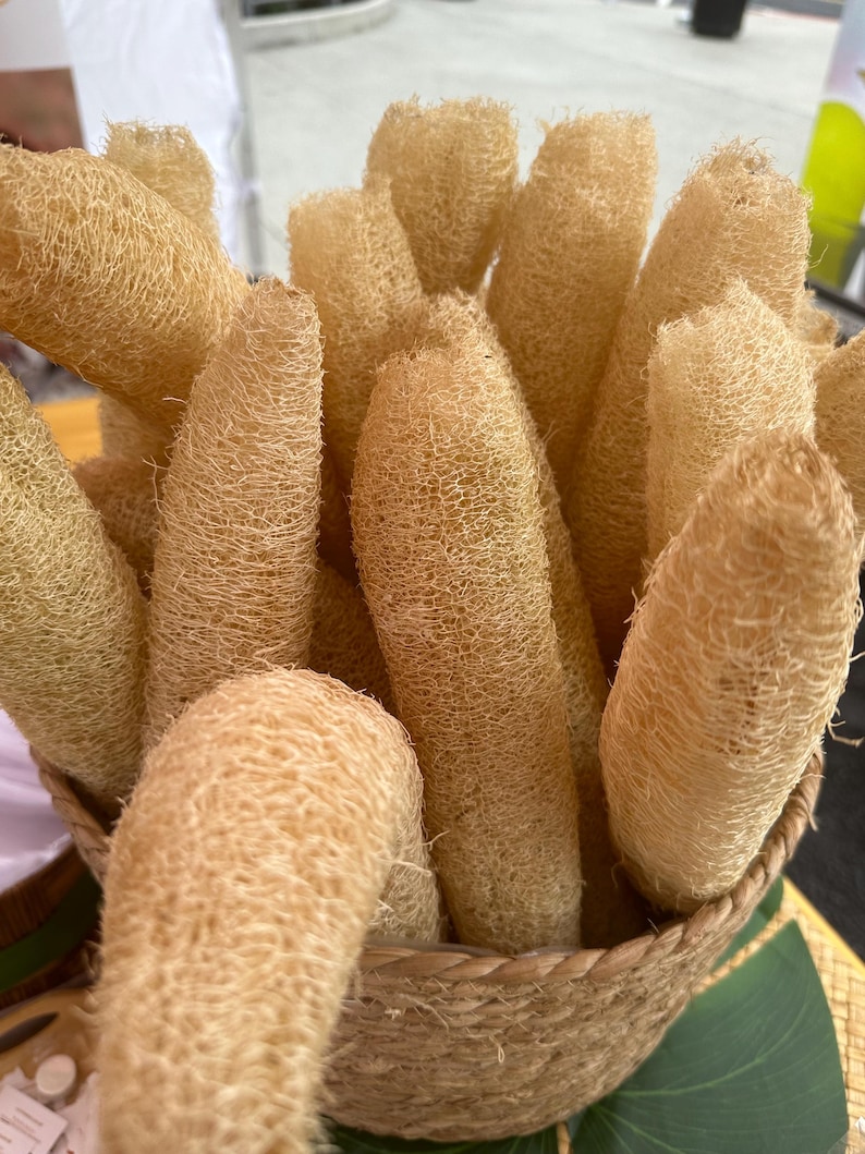 100% Organic Biodegradable Loofah - Etsy