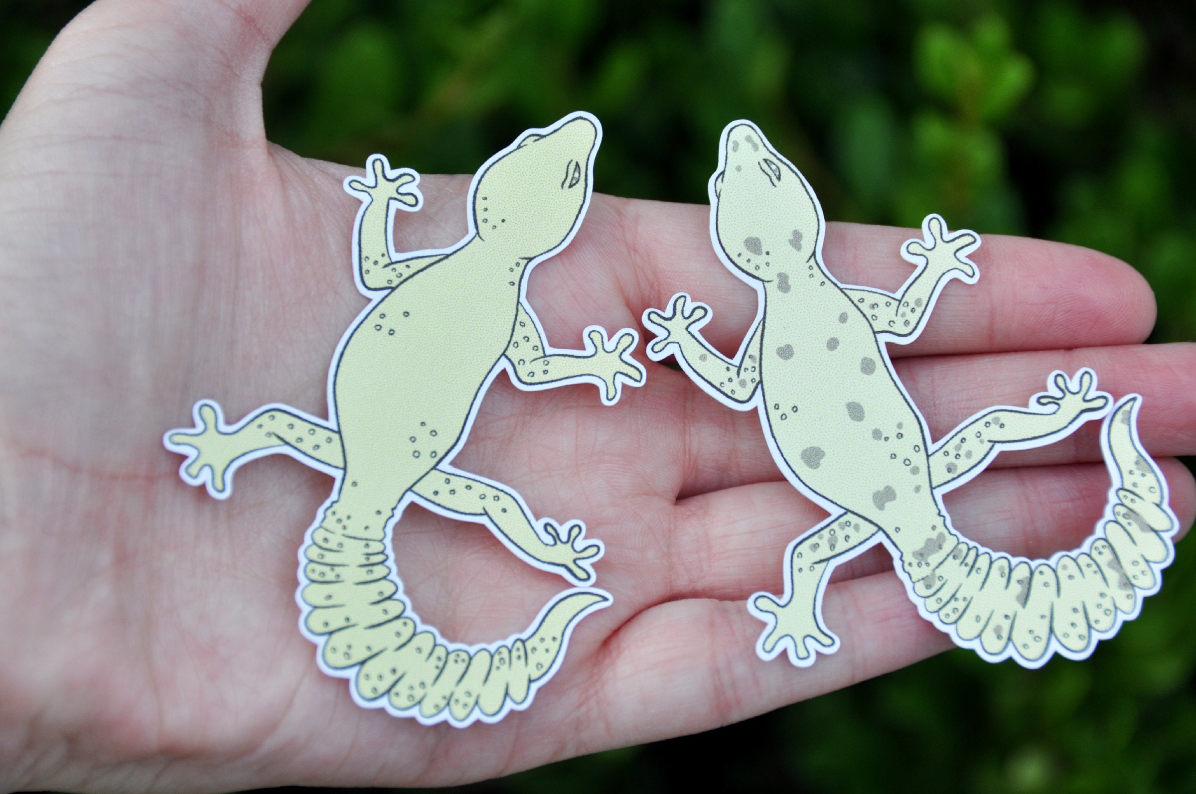 2 Leopard Gecko Paper Stickers Set of 2 Paper Stickers 1 | Etsy