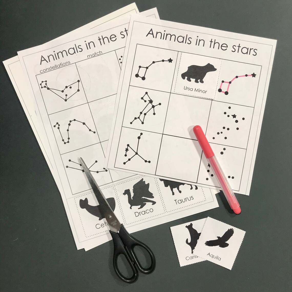 Preschool printables Constellations Toddler game | Etsy