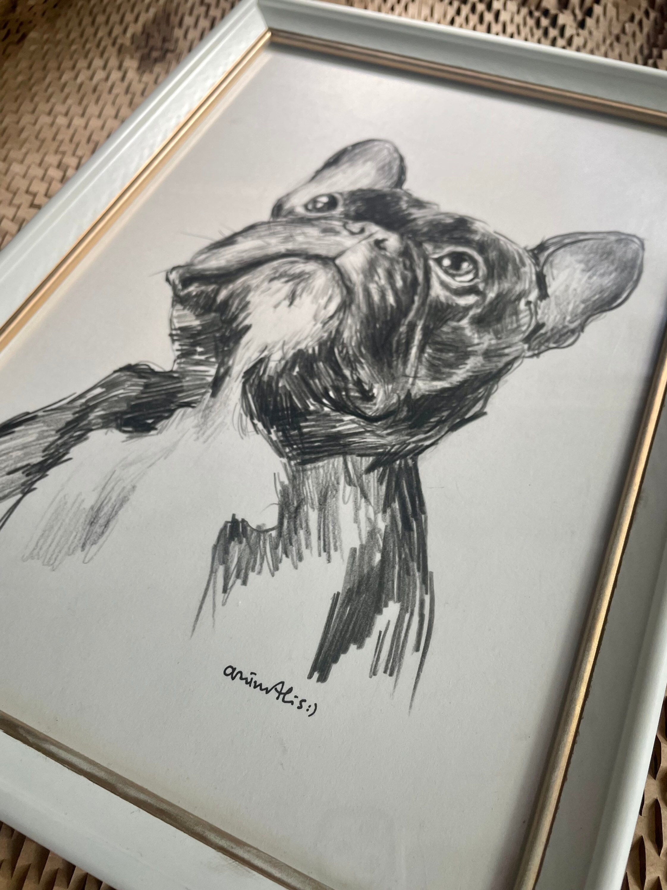 French Bulldog Graphic Drawing, Frenchie Art, Art Dog Drawing, Graphic ...
