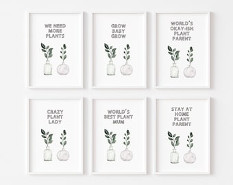House Plant Alphabet Chart Art Print - Etsy Canada