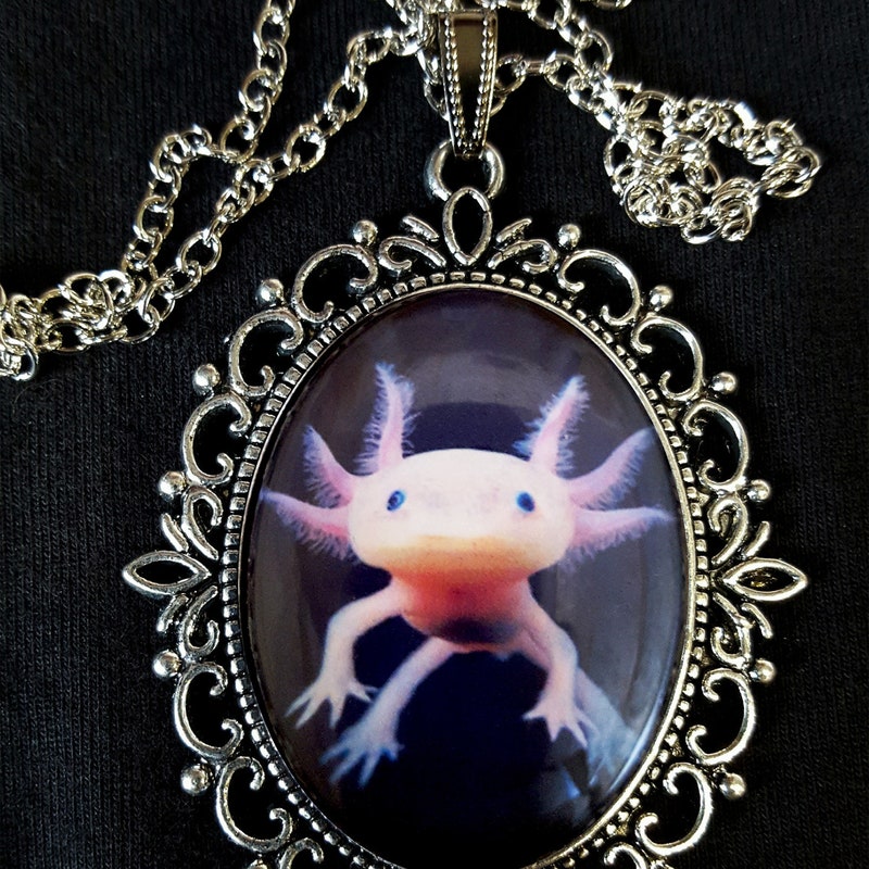 Axolotl Necklace - Etsy