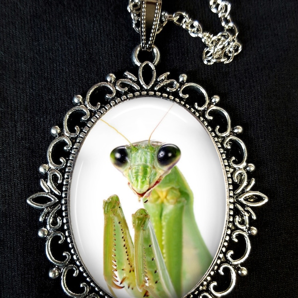 Praying Mantis - Etsy