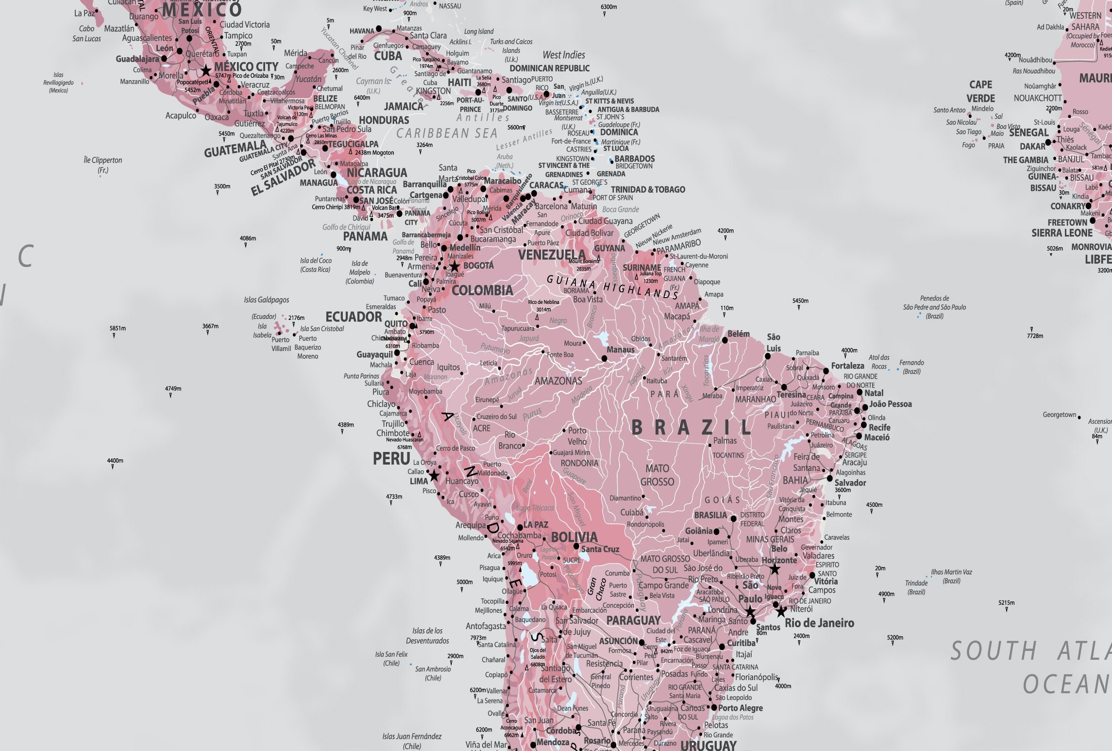 Pink Printable World Map Art in Blush and Hunter Green Map of the World ...